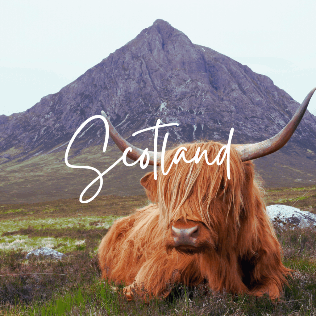 Scotland Veterinary CE - Traveling Vet Retreats
