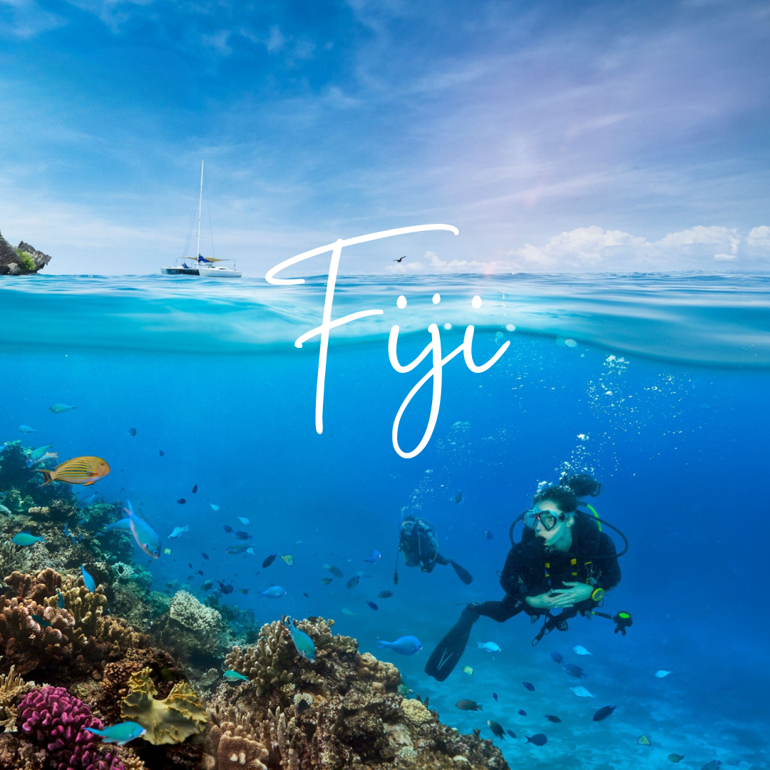 Fiji Veterinary CE - Traveling Vet Retreats
